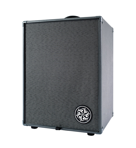 Darkglass Electronics Infinity 500 Series 2x10 Bass Combo | R and T Music